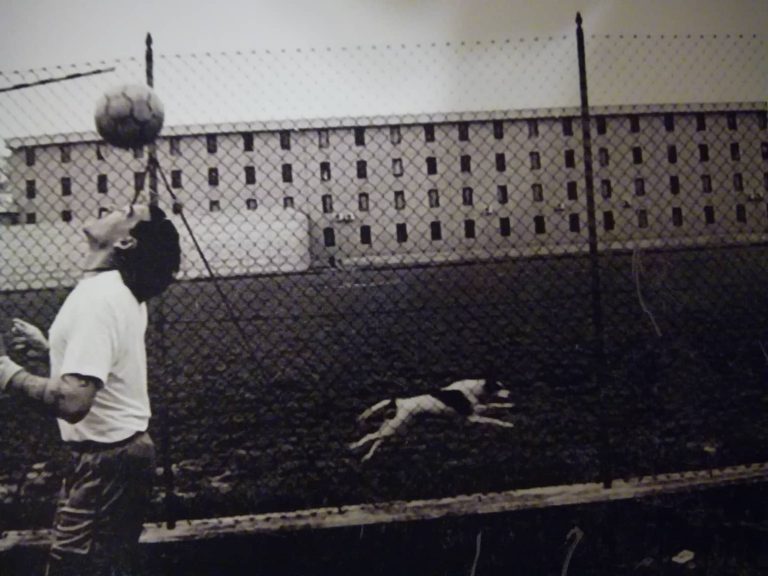 Da promessa del calcio alla malavita: Maiello voleva addirittura rapire ...